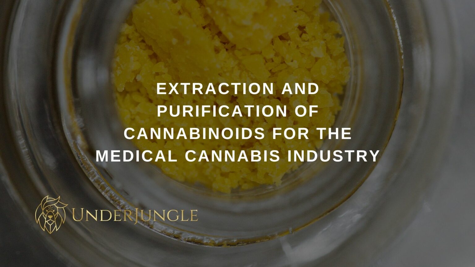 Extraction And Purification Of Cannabinoids For The Medical Cannabis