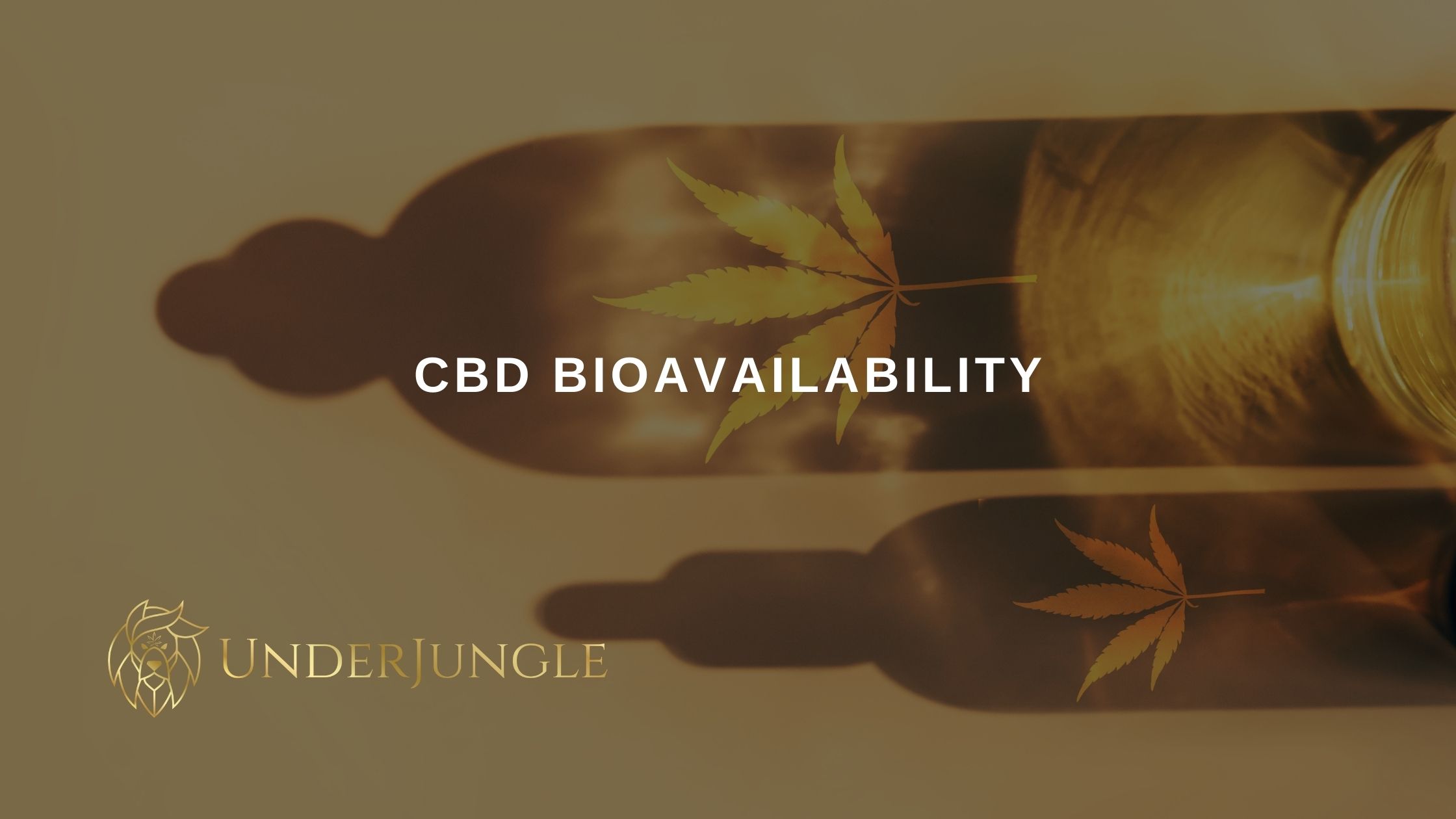 CBD Bioavailability - UnderJungle